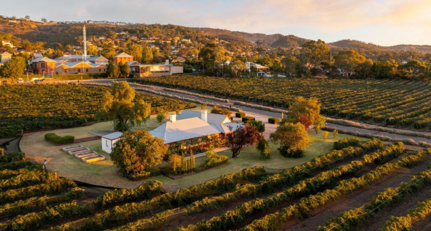 Penfolds Magill Estate Cellar Door | Our City Winery Cellar Door