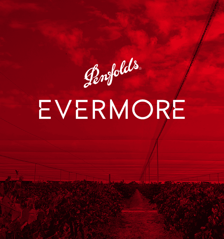 Sustainability News | Penfolds Evermore